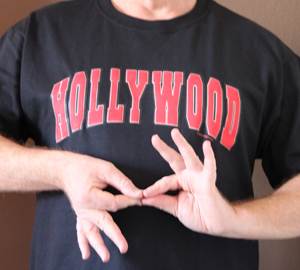 Entertainment - Sign Language Interpreters - ASL Interpreters